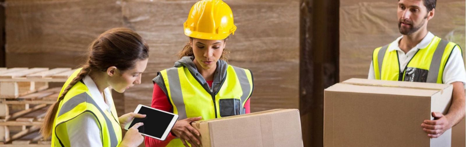 Runixo | Formation PRAP IBC